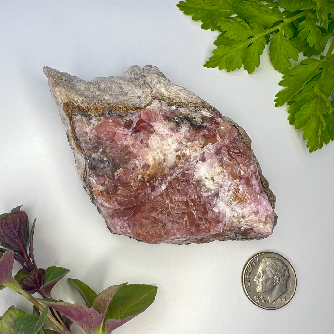 SolRising The Rock Shop