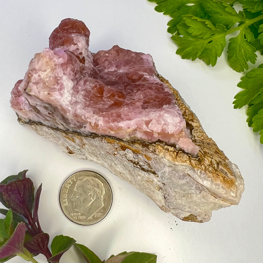 SolRising The Rock Shop